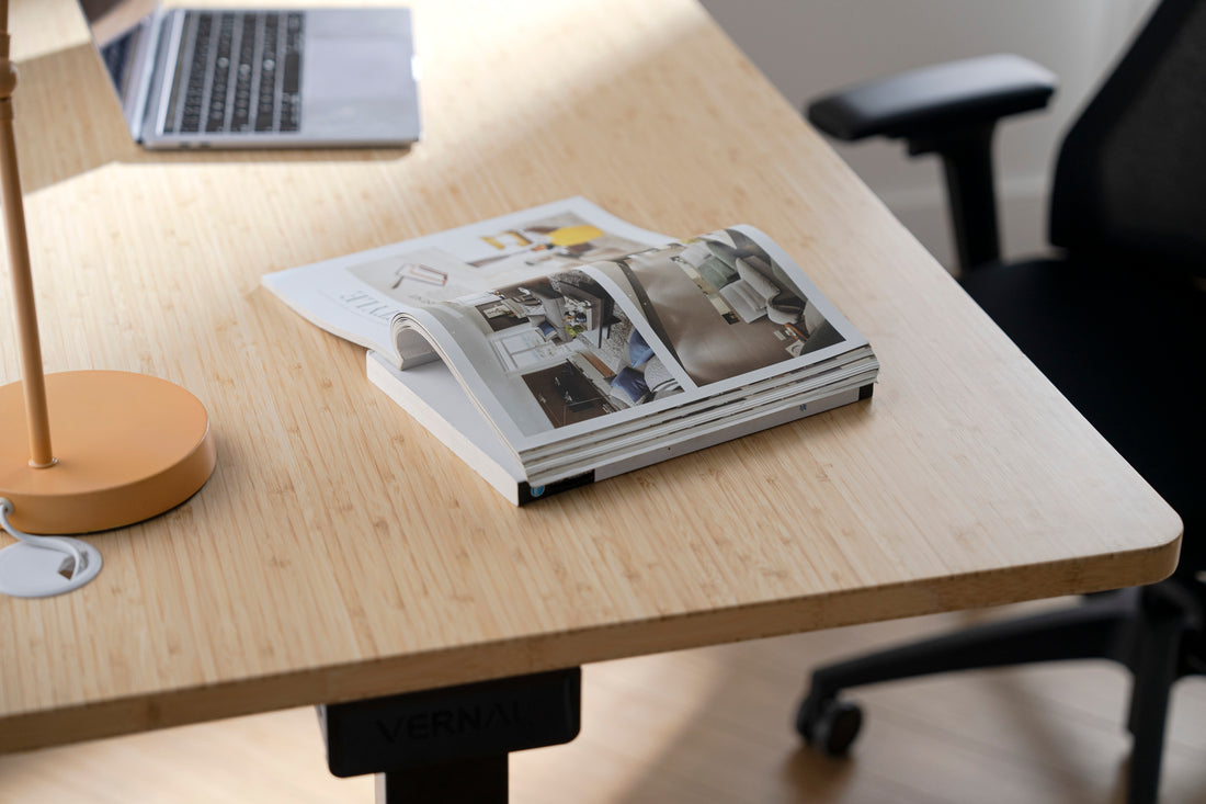 Vernal Best Sit Stand Desk Stand up Desks Home Office