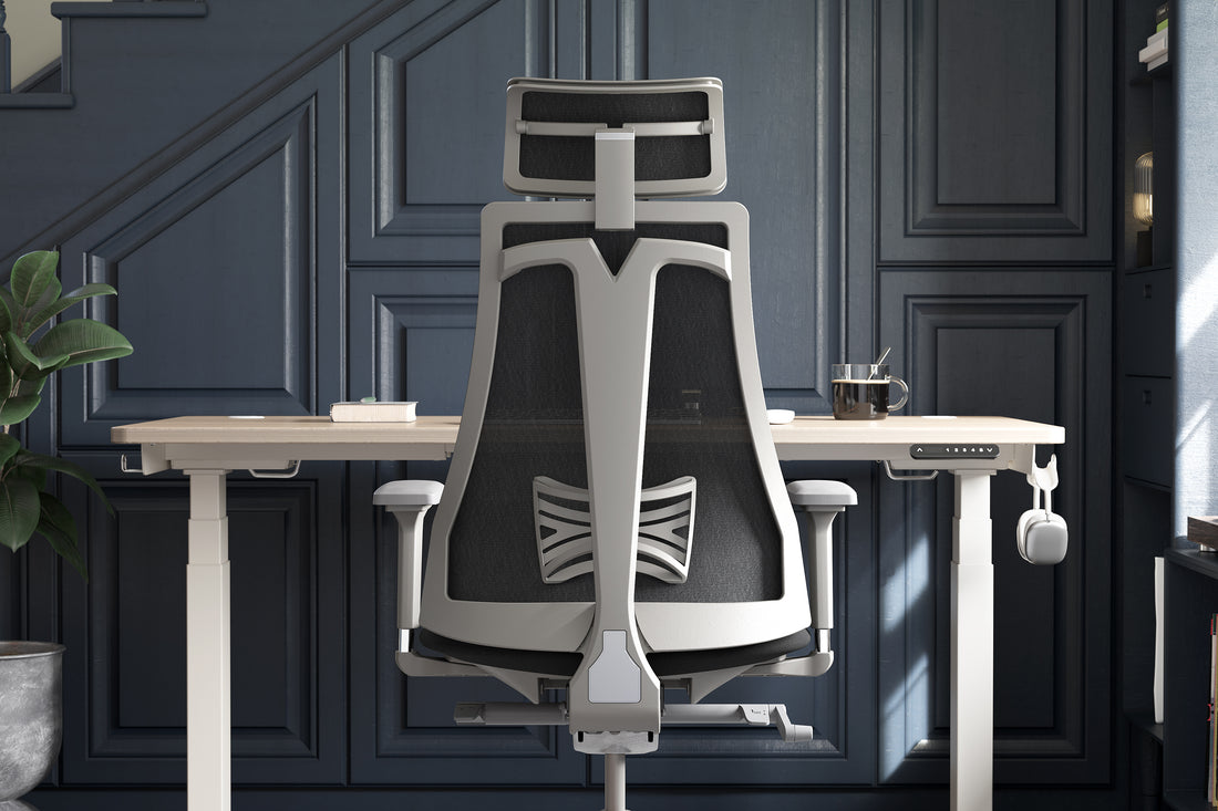 Vernal Best Sit Stand Desk Stand up Desks Home Office